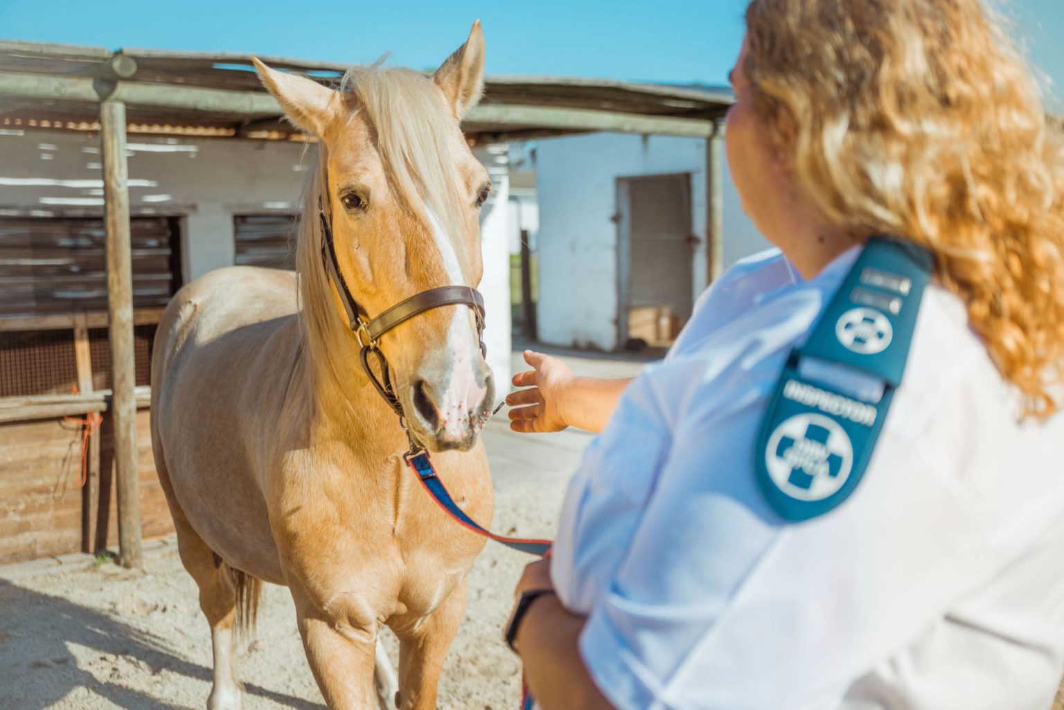 SPCA Vereeniging & Vanderbijlpark – Society for the Prevention of ...